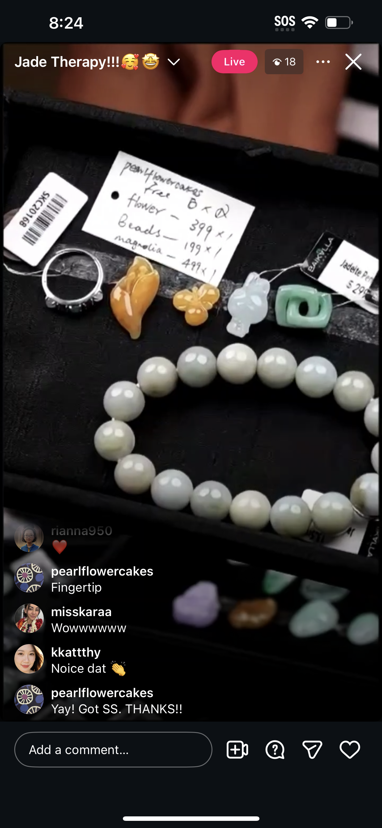 "Live" Icy Yellow Jadeite Jade Magnolia Carving (11/26/25) – BKLA