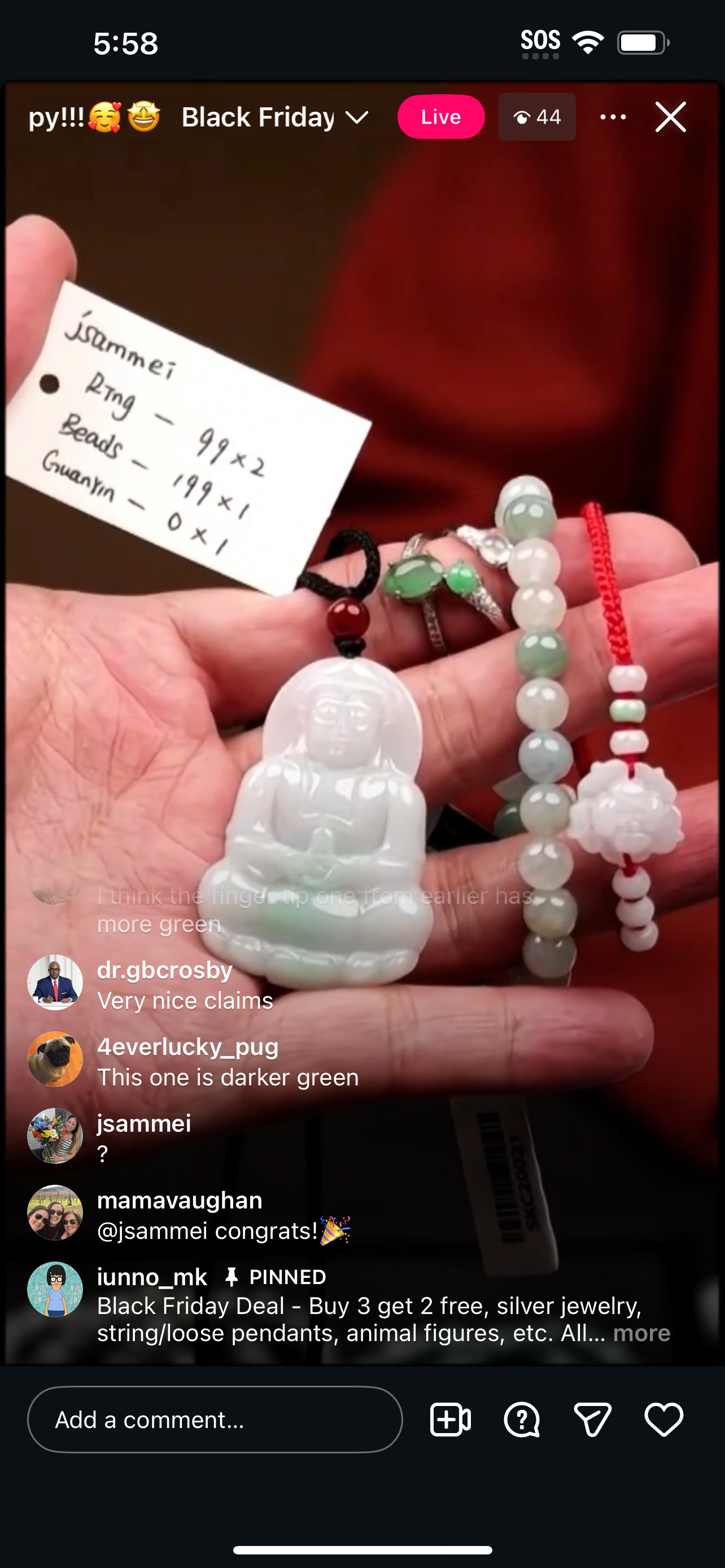 "Live" Light Blue-Green Genuine Jadeite Jade Guanyin (11/28/25) – BKLA